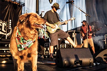 Stick Figure - The Factory in Deep Ellum, Dallas, TX - 05/05/2022